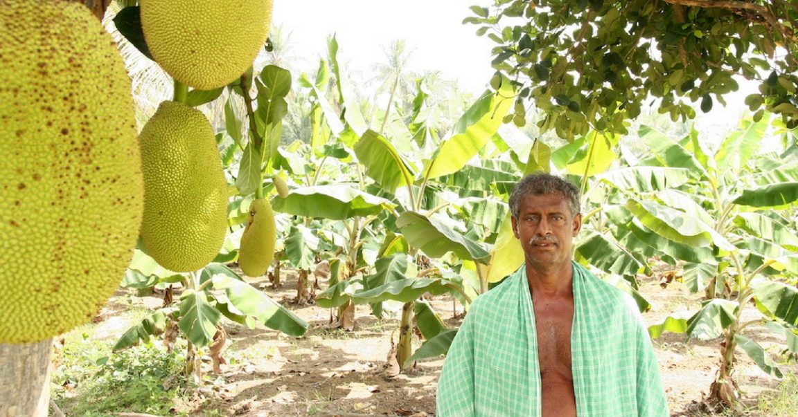 Tamil Nadu's Farmers Finally Have Financial Security, Thanks to ...