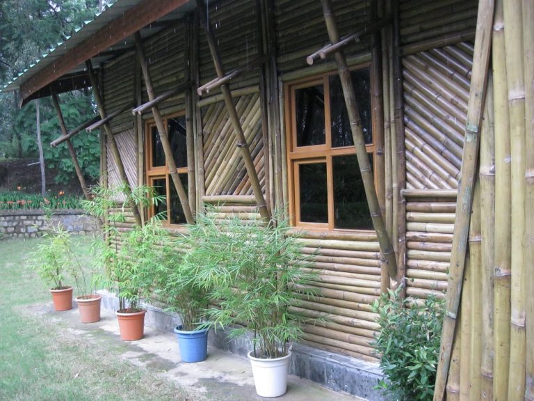 A Museum in Himachal to Promote the Uses of Bamboo- The Wonder Grass