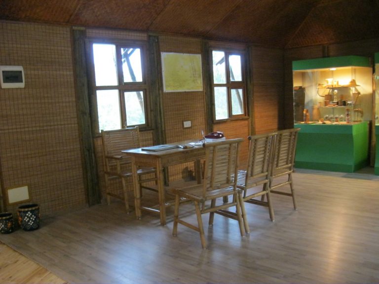 A Museum in Himachal to Promote the Uses of Bamboo- The Wonder Grass