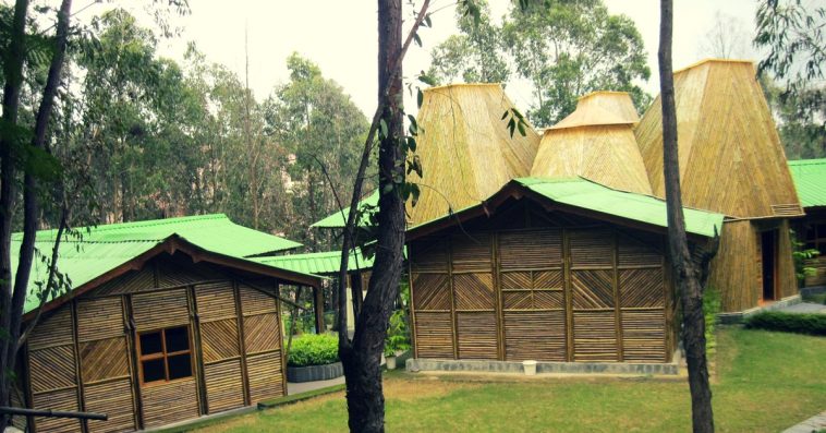 A Museum in Himachal to Promote the Uses of Bamboo- The Wonder Grass