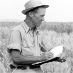 Norman Borlaug, the American Scientist Who Helped Engineer India's ...