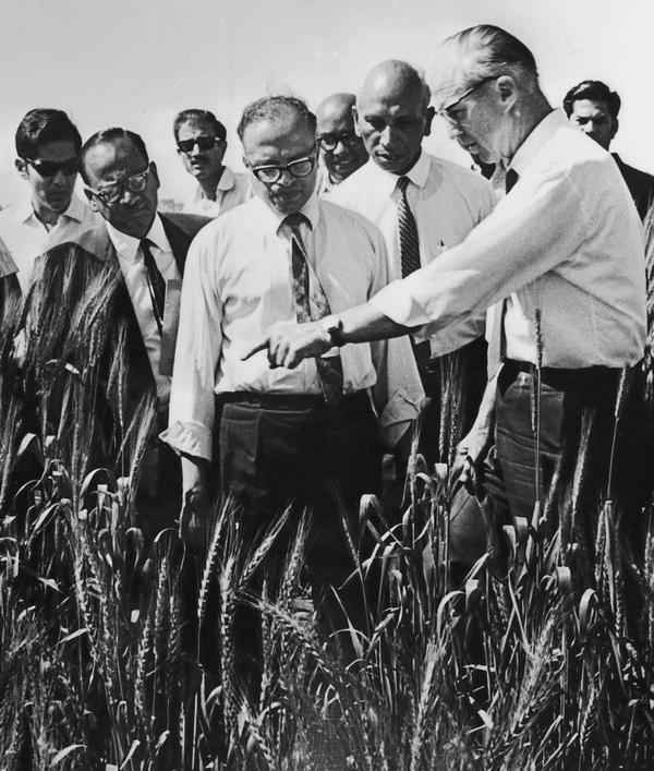 Norman Borlaug, the American Scientist Who Helped Engineer India's ...