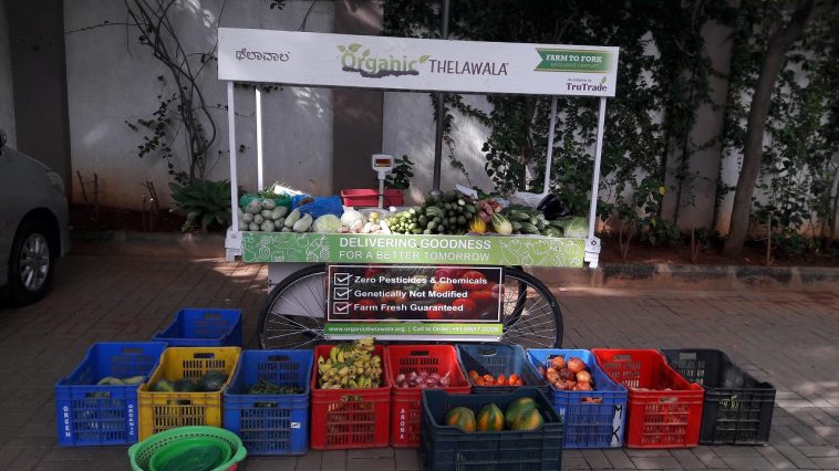 Going Grocery Shopping? These Organic Thelas Ensure That Farmers Get ...