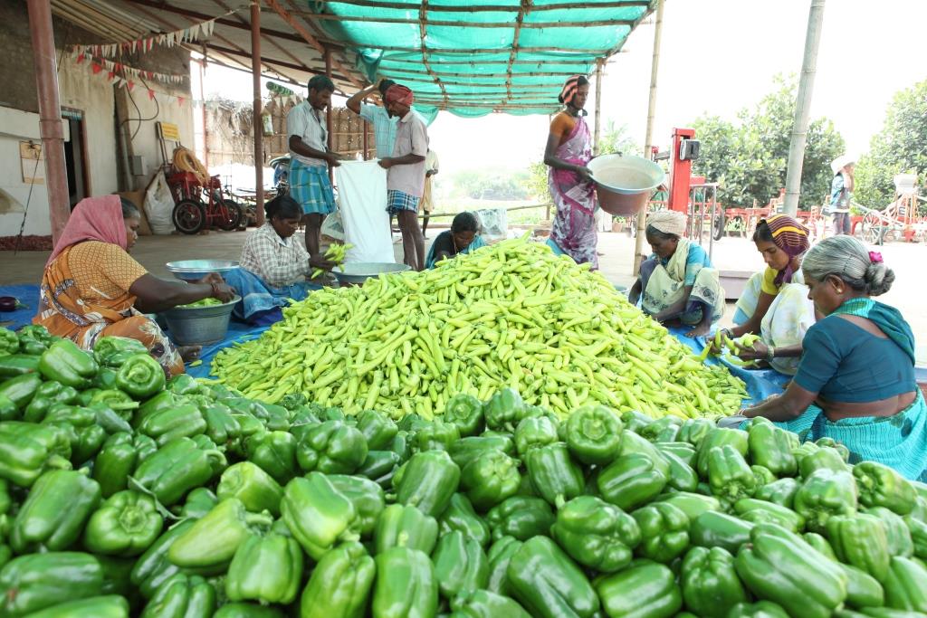 How an IIT Madras Alumnus, R. Madhavan Helped Thousands of Farmers ...