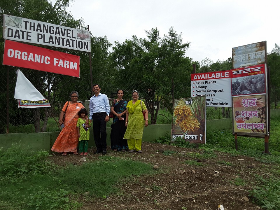 Date Farming Changed Nagpur Farmer, Savi Thangavel's Life & He Can Help ...