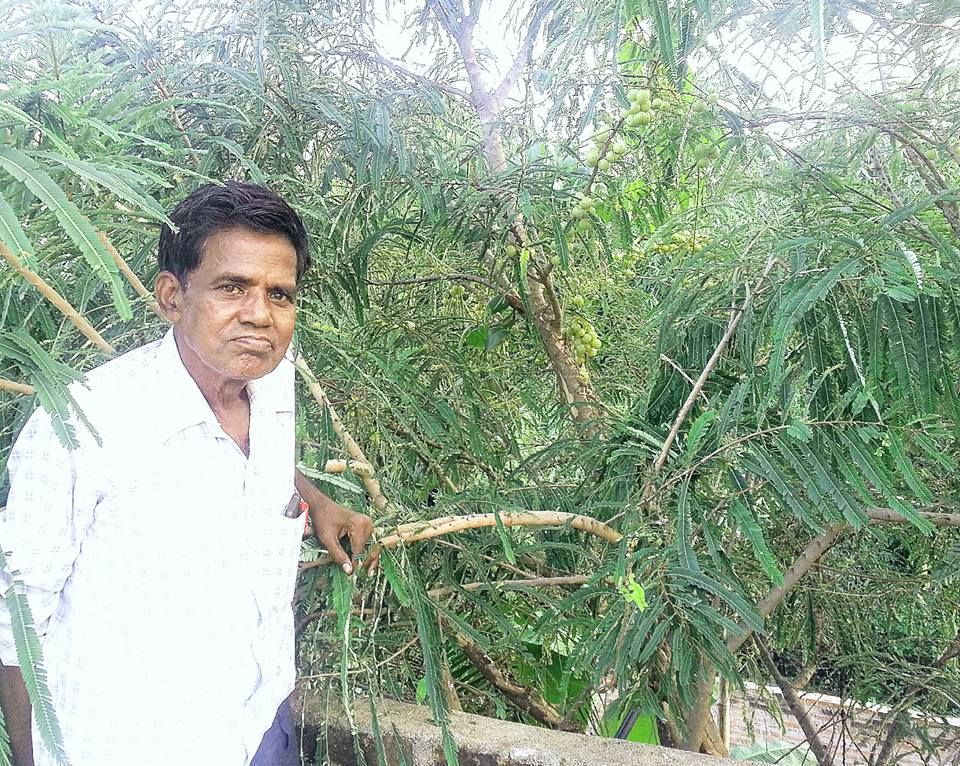 How a Farmer From Madhya Pradesh, Babulal Dahiya Is Growing 110 ...