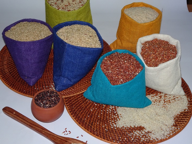 Sheela Balaji From Chennai Preserved 30 Indigenous Rice Varieties & Is ...