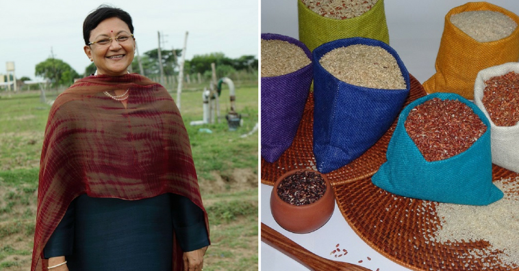 Sheela Balaji From Chennai Preserved 30 Indigenous Rice Varieties & Is ...