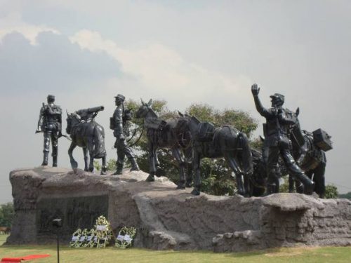 Pedongi, the Brave Mule that Won a Unique Award from the Indian Army
