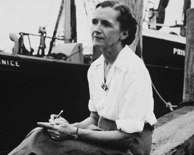 How Rachel Carson Got DDT Banned in the US After WW2