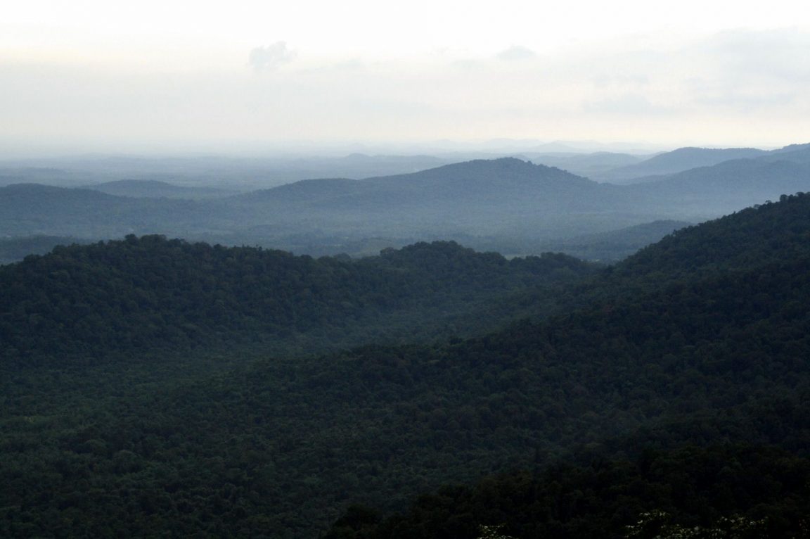 Kalinga Centre for Rainforest Ecology: Helping Save Agumbe's Legacy