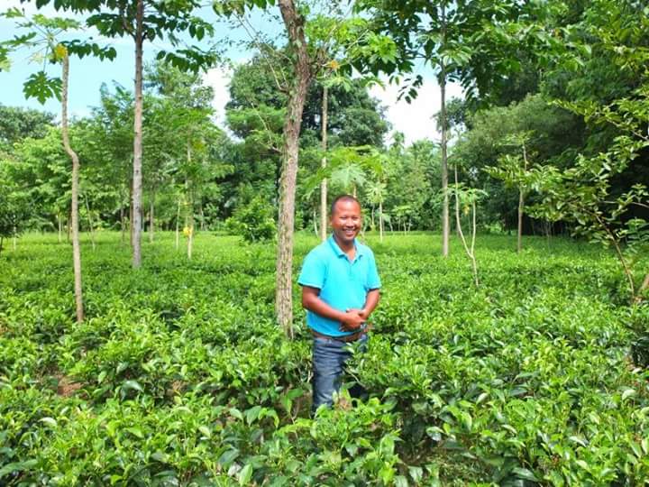 Meet Tenzing Bodosa, Assam's First Organic Tea Farmer Who Also Owns ...