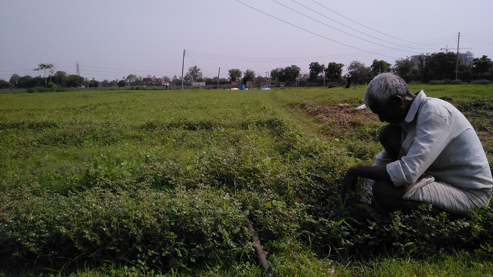 This Banker-Turned-Farmer Is Helping City Dwellers Rent a Farm and Grow ...