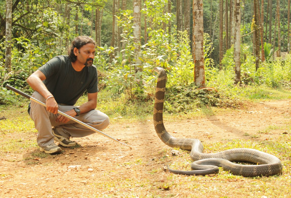 Kalinga Centre for Rainforest Ecology: Helping Save Agumbe's Legacy