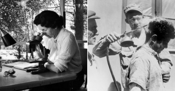 How Rachel Carson Got DDT Banned in the US After WW2