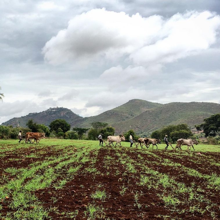 Making organic farming fashionable: Meet this couple in Karnataka