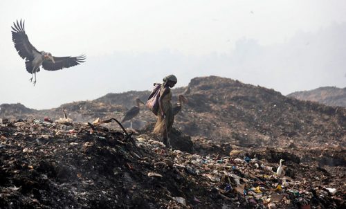Officials To Clear Garbage from Chennai's Largest Toxic Dumpyard