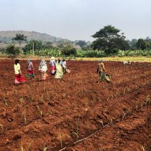 Making organic farming fashionable: Meet this couple in Karnataka
