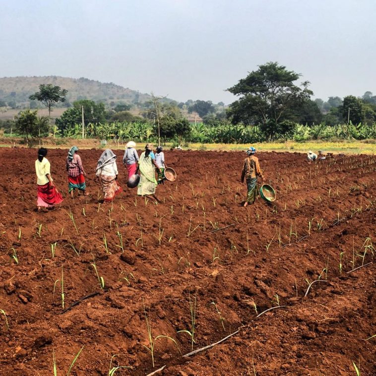 Making organic farming fashionable: Meet this couple in Karnataka