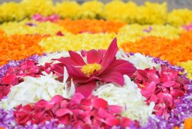 10 Days of Onam: Pookalams to Onasadhya, Here's All You Need to Know