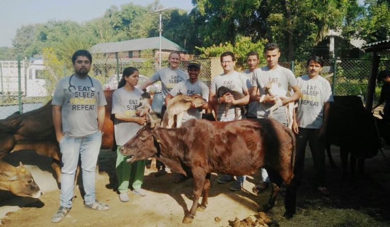 This Organic Farm in Himachal Also Cares For Abused Animals