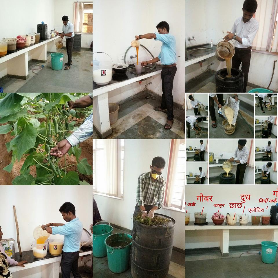 Pawan Tak, A Young Rajasthani Trainer Left His Job to Fight Against ...