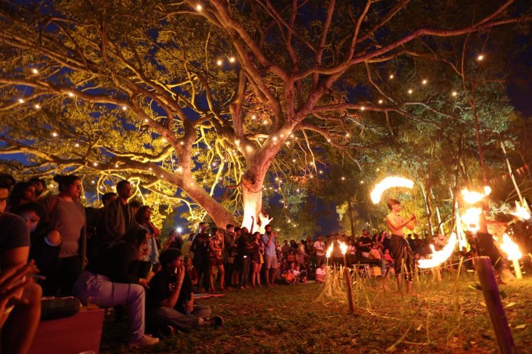 Why Eco-Friendly Festivals Like Echoes of Earth Are Important in India
