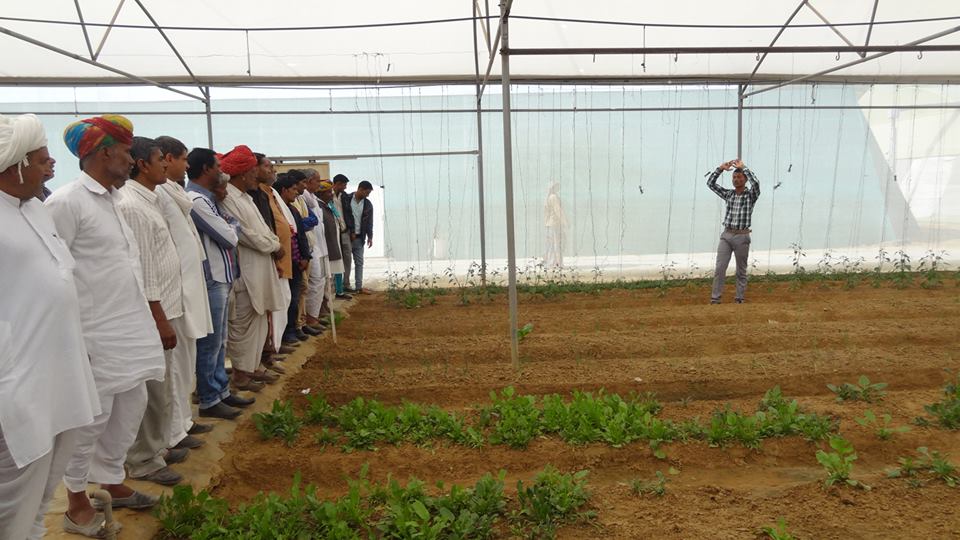 Pawan Tak, A Young Rajasthani Trainer Left His Job to Fight Against ...