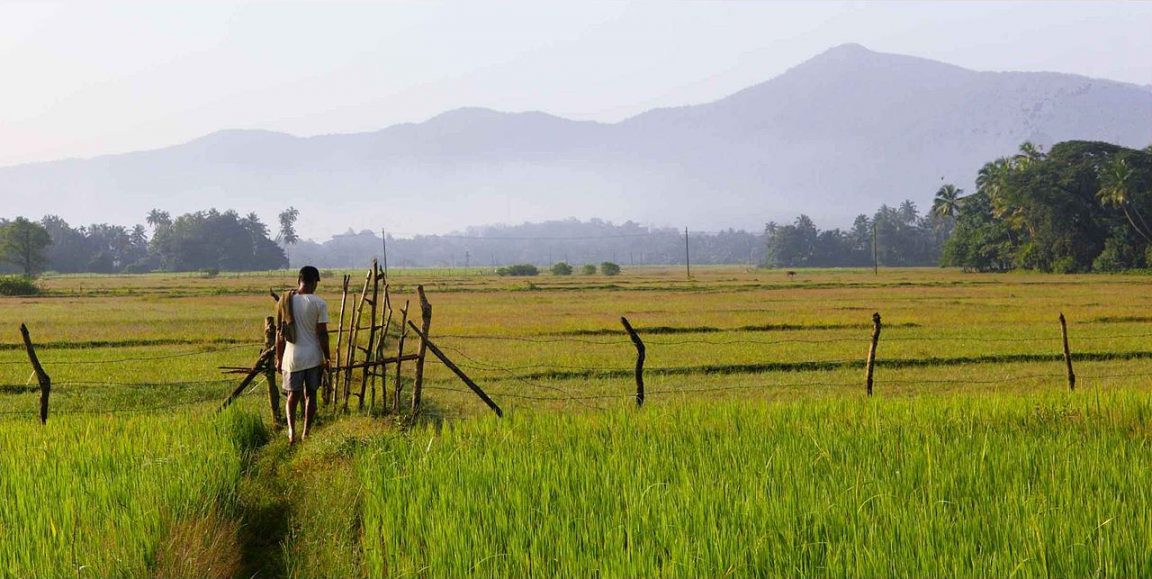 This Digital Map Will Show the Best Places in India to Grow Organic Crops