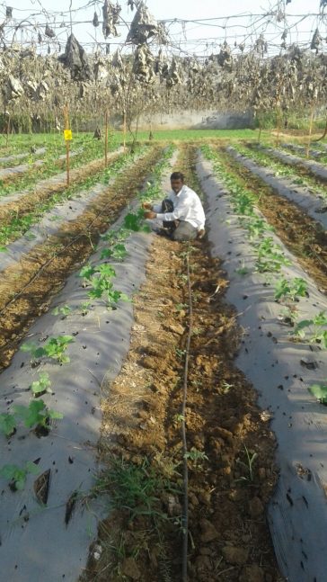Despite Droughts, This Maharashtra Farmer, Vishwanath Bobade Is Earning ...