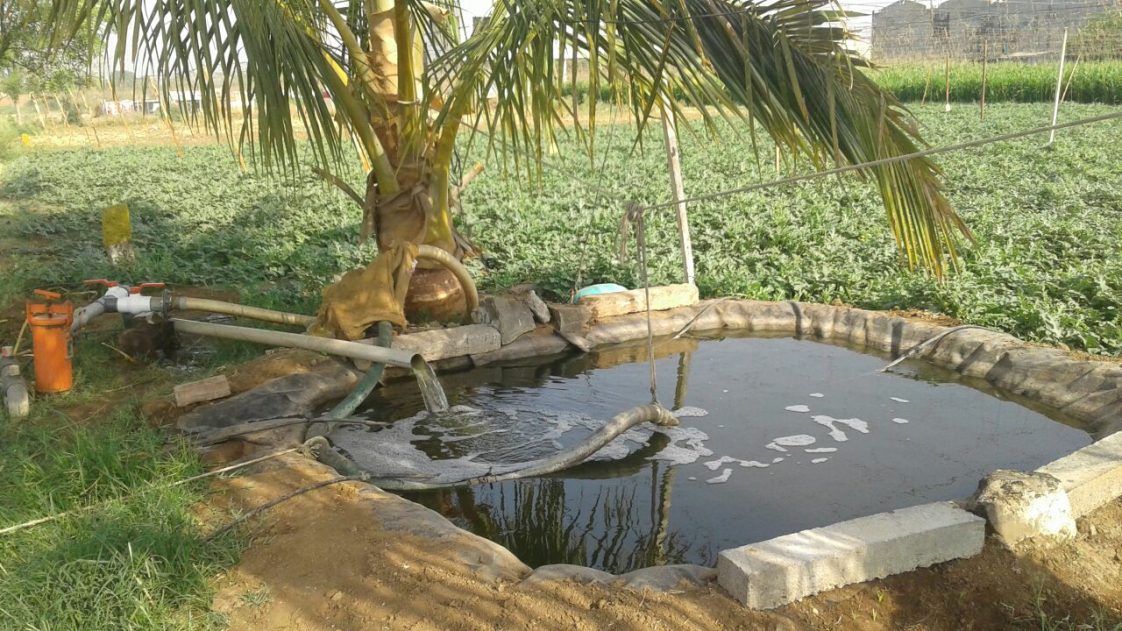 Despite Droughts, This Maharashtra Farmer, Vishwanath Bobade Is Earning ...