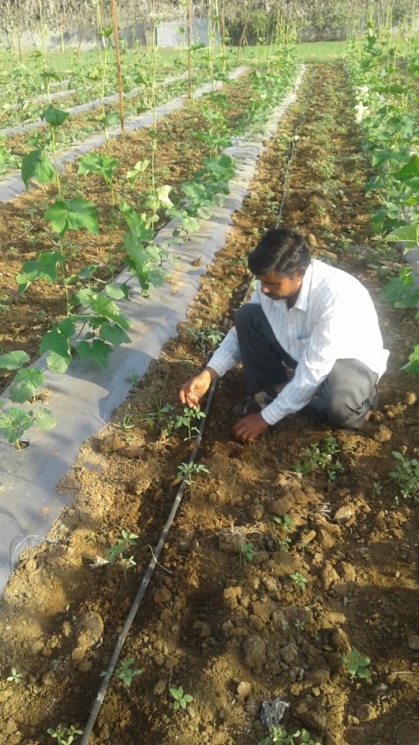 Despite Droughts, This Maharashtra Farmer, Vishwanath Bobade Is Earning ...