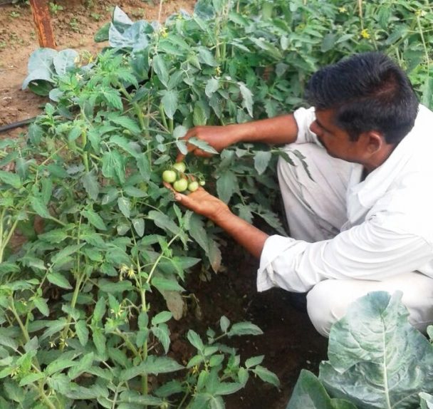 Despite Droughts, This Maharashtra Farmer, Vishwanath Bobade Is Earning ...