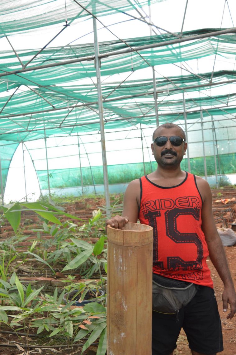 Meet the man who set up India’s first bamboo nursery in Maharashtra!