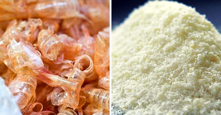 Bio-Plastic From Prawn Shells? This 15-Year-Old School Girl Has Made It!