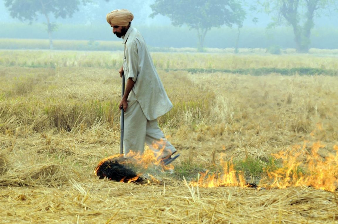 Centre Has a Rs 100 Crore Project to Tackle Crop Burning, but We Need ...