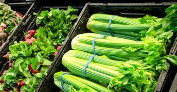 This High Humidity Storage Box Will Keep Your Veggies Fresh for 2 Days