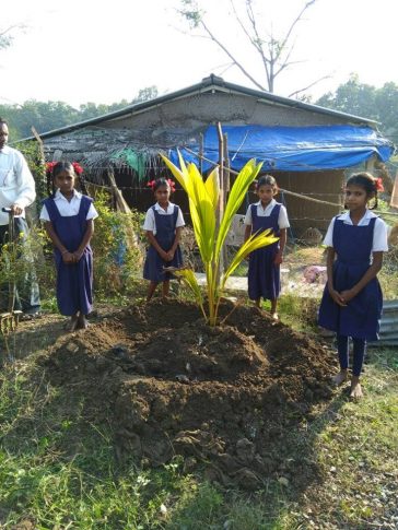 5 Unique Initiatives That Take Tree Plantation to the Next Level