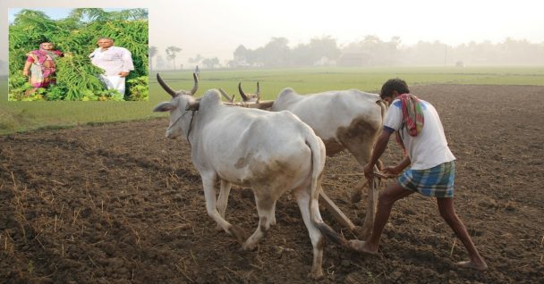 How This Farmer Couple Used Israeli Technology to Double Their Produce!