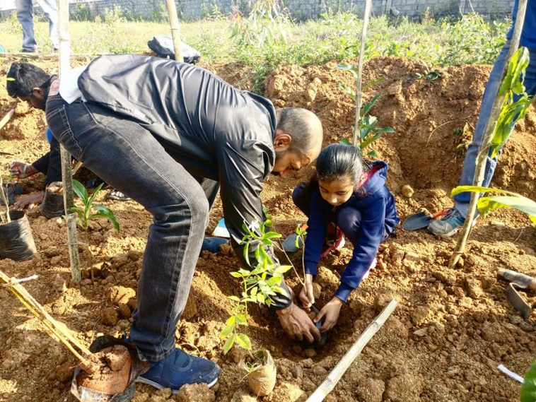 5 Unique Initiatives That Take Tree Plantation to the Next Level