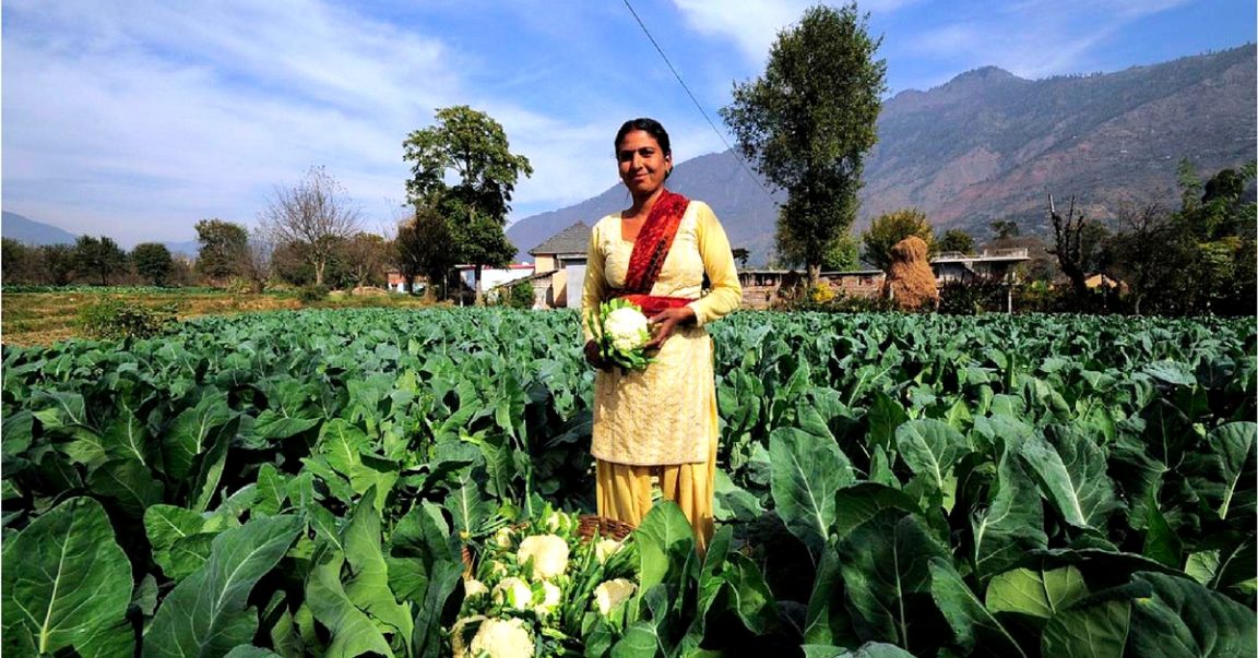 An Organic Future: India Has Over 30% Of World's Organic Producers!