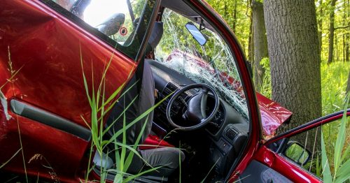 Golden Hour, CPR, Good Samaritan Law: Life-Saving Lessons