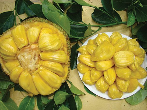 Eat Local: 10 Festivals That Celebrate India's Fruits & Veggies!