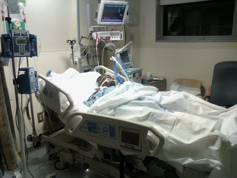 All You Need to Know About How to Make a Living Will