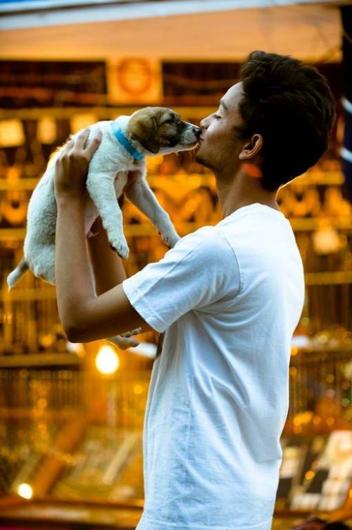 Awesome Telangana College Shelters Secret All Animal Lovers Will Love!