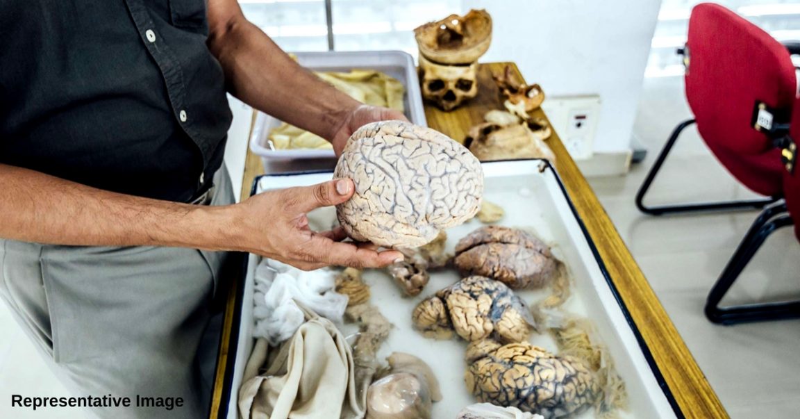 In Haryana, An 'Indian Brain Template' Is Being Made!