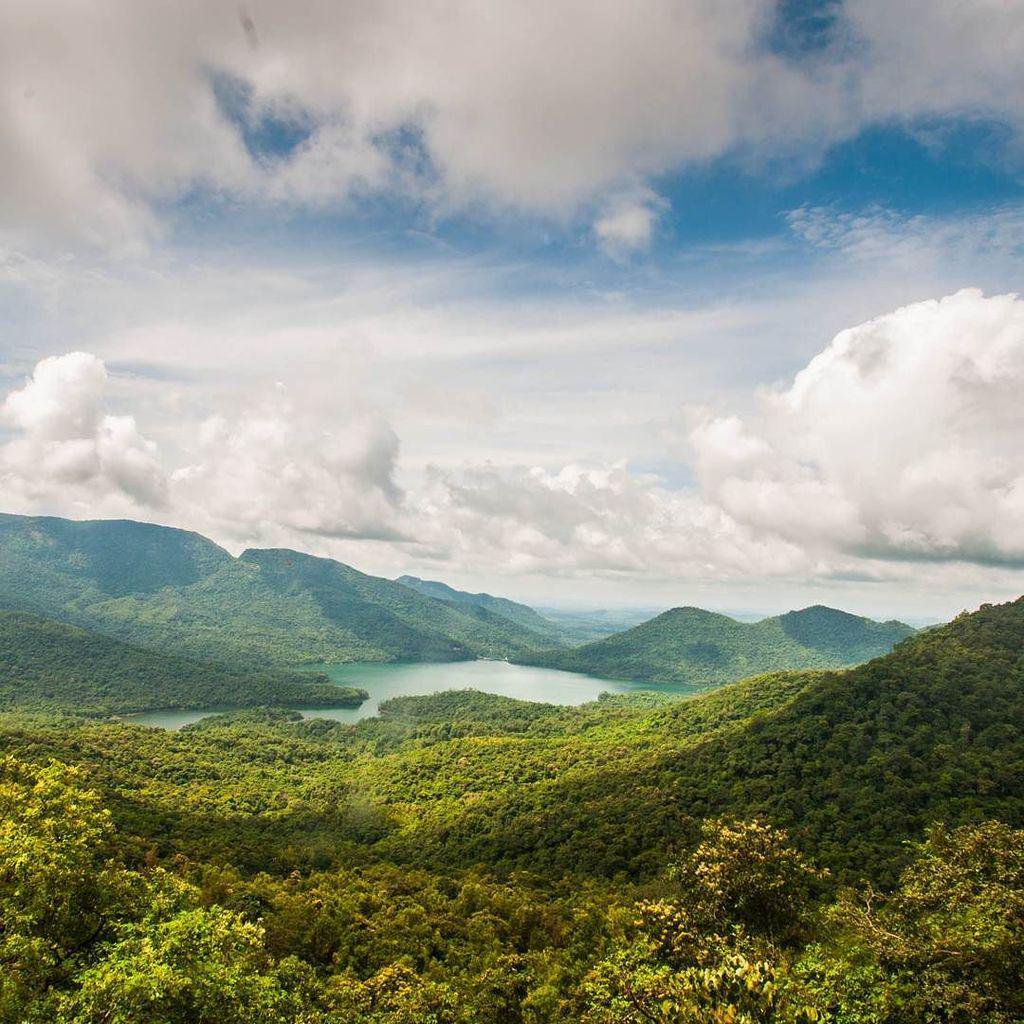 The Goa You Don't Know: 10 Travel Secrets That Go Beyond Beaches