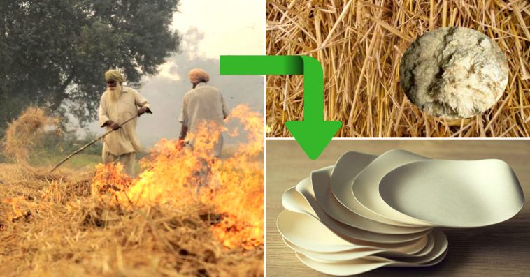 Biodegradable Paper from Paddy Straw? This IIt Delhi Project Is Doing It!
