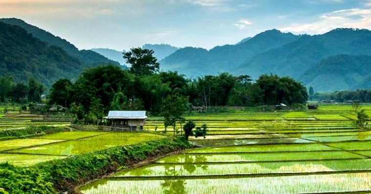 First Commercial Flight Lands in Arunachal: 5 Places You Can Visit!