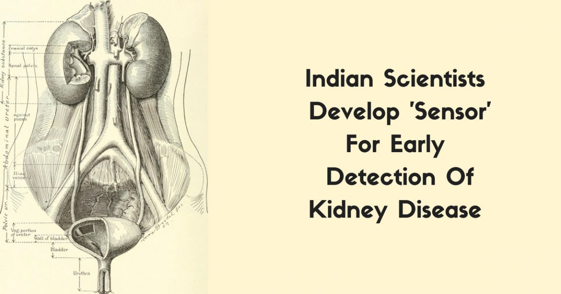 Indian Scientists Develop 'Sensor' For Early Detection Of Kidney Disease Indian Scientists Develop 'Sensor' For Early Detection Of Kidney Disease